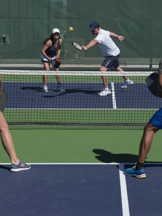 29 Pickleball Terms You Need to Know - PickleVine.com