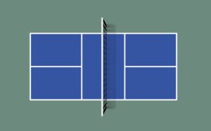 12 Pickleball Apps You Need to Know - PickleVine.com