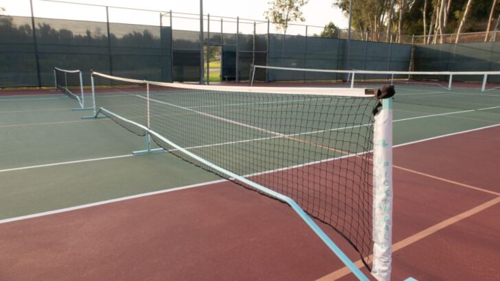 2 Main Types of Pickleball Nets - PickleVine.com