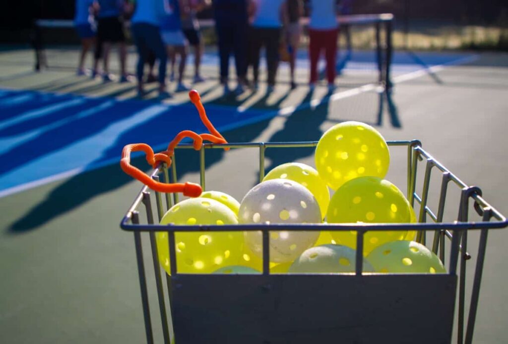 4 Different Types of Pickleball Balls - PickleVine.com