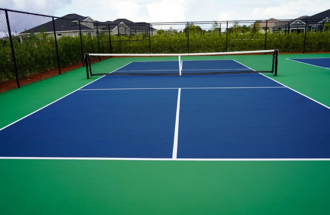 4 Different Types of Pickleball Balls - PickleVine.com