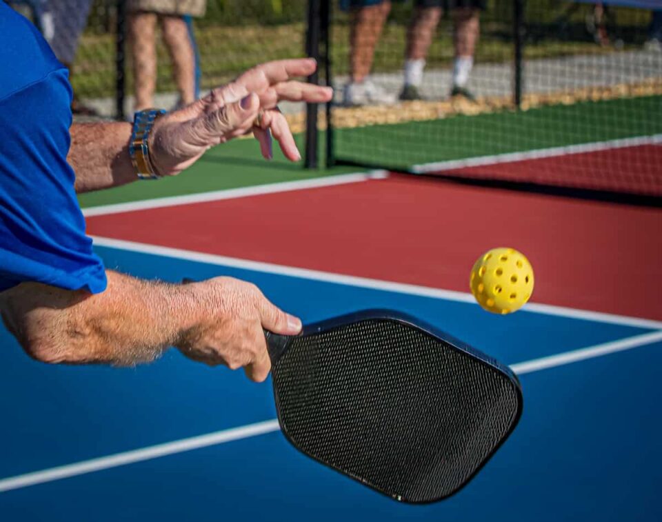 4 Different Types of Pickleball Balls - PickleVine.com